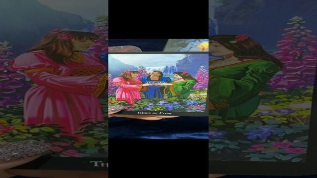 Хочет ли он/она встретиться с вами