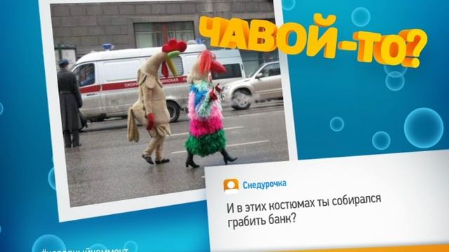 Чавой-то. Куры