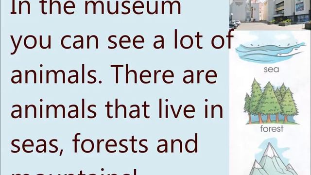 The State Darwin Museum, ex  2 p  22, City Stars2, module 5, A Butterfly, My Moscow