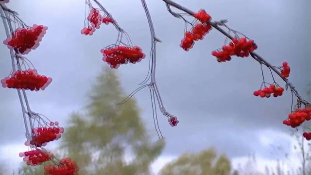 Отговорила роща золотая - ред 2014 - Бетховен - Лунная соната-