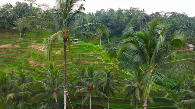 Земля с высоты птиьего полета. Невероятная крастота