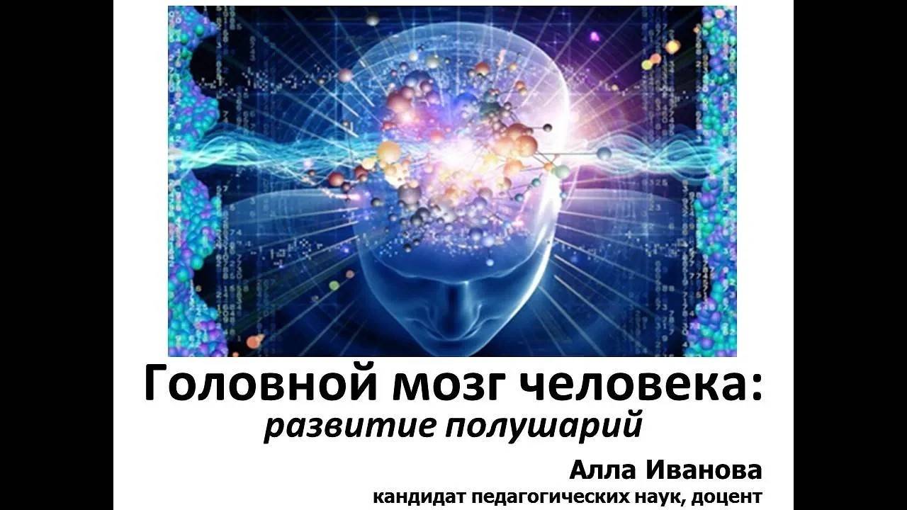 Головной мозг человека_ развитие