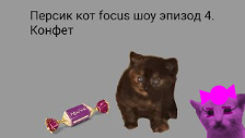 Персик кот focus шоу эпизод 4. Конфет