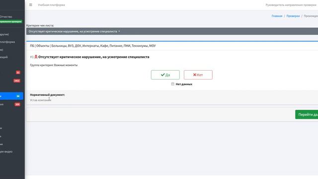 Руководитель направления проверки