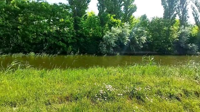 По дороге на Портовое.Июнь 2022г.