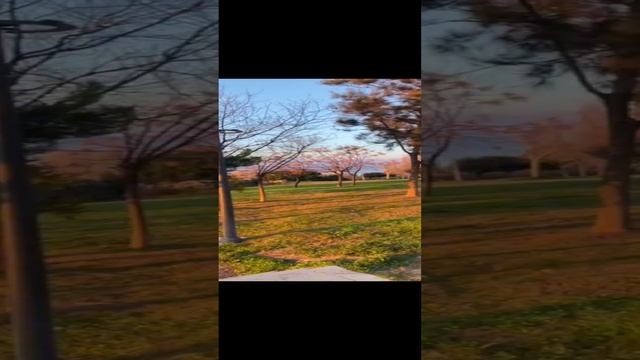 Утро доброе Анталия