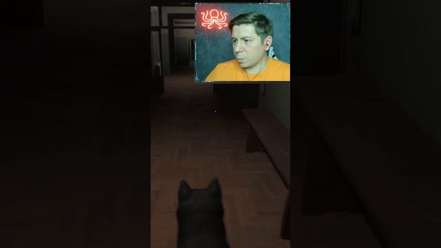 ХОРОШИЙ ПЁСИК ► СЭТТЭЭХ