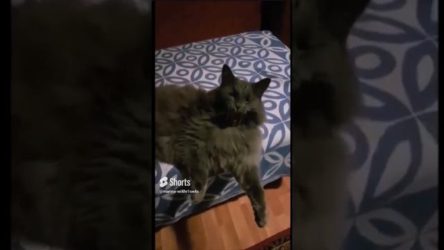 На улицу пойдем_