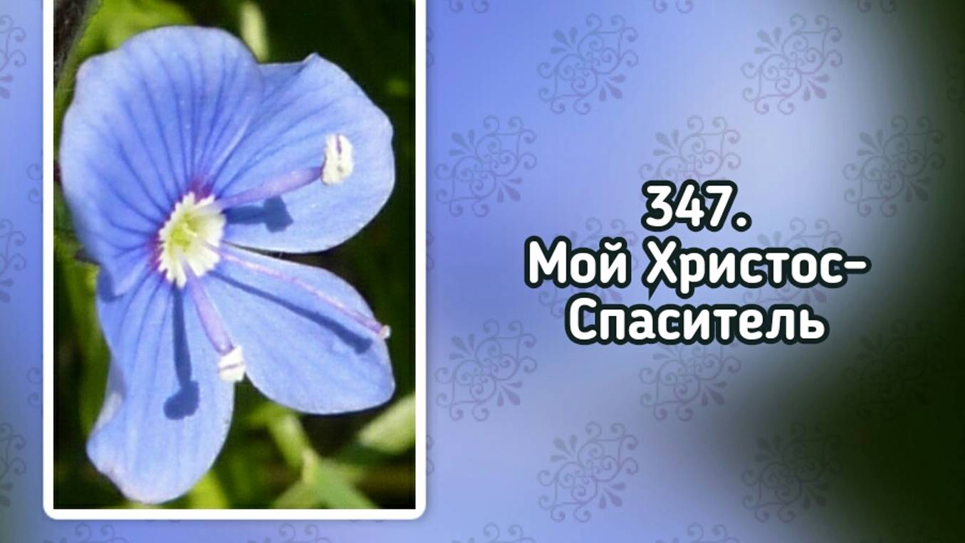 Гимны надежды 347 Мой Христос-Спаситель (-)