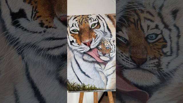 Забота тигра