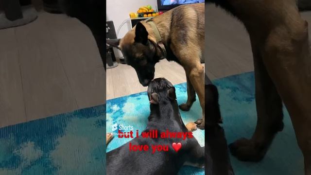 любовь на века!