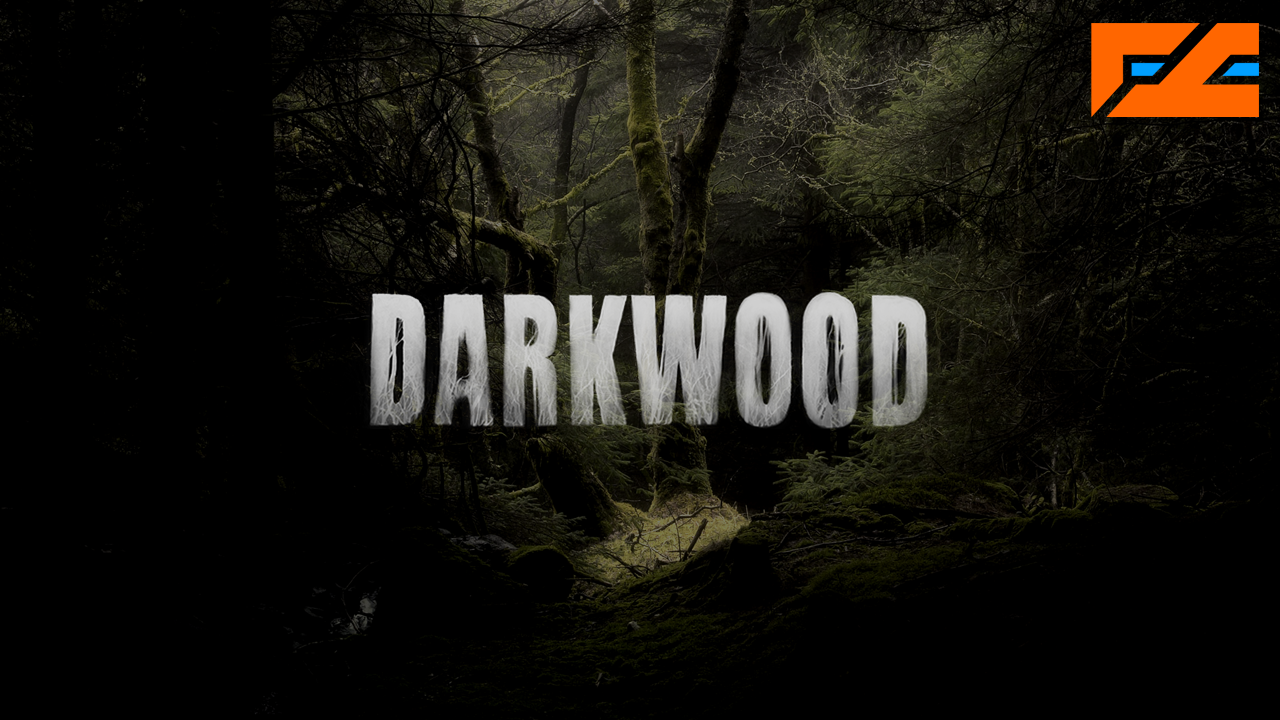 Darkwood: Не ходите ночью в лес...