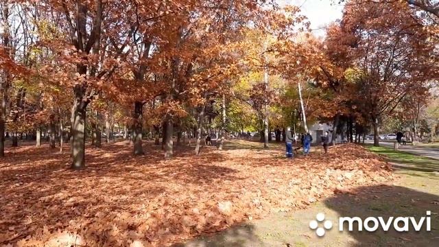 Чистяковская Роща.mp4