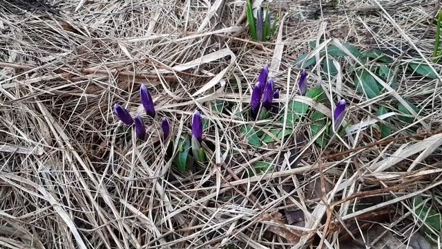 Апрельские каникулы. 12 апреля 2022.