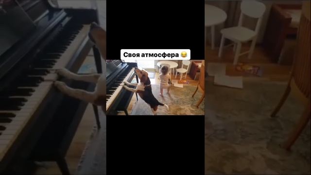 Своя атмосфера)