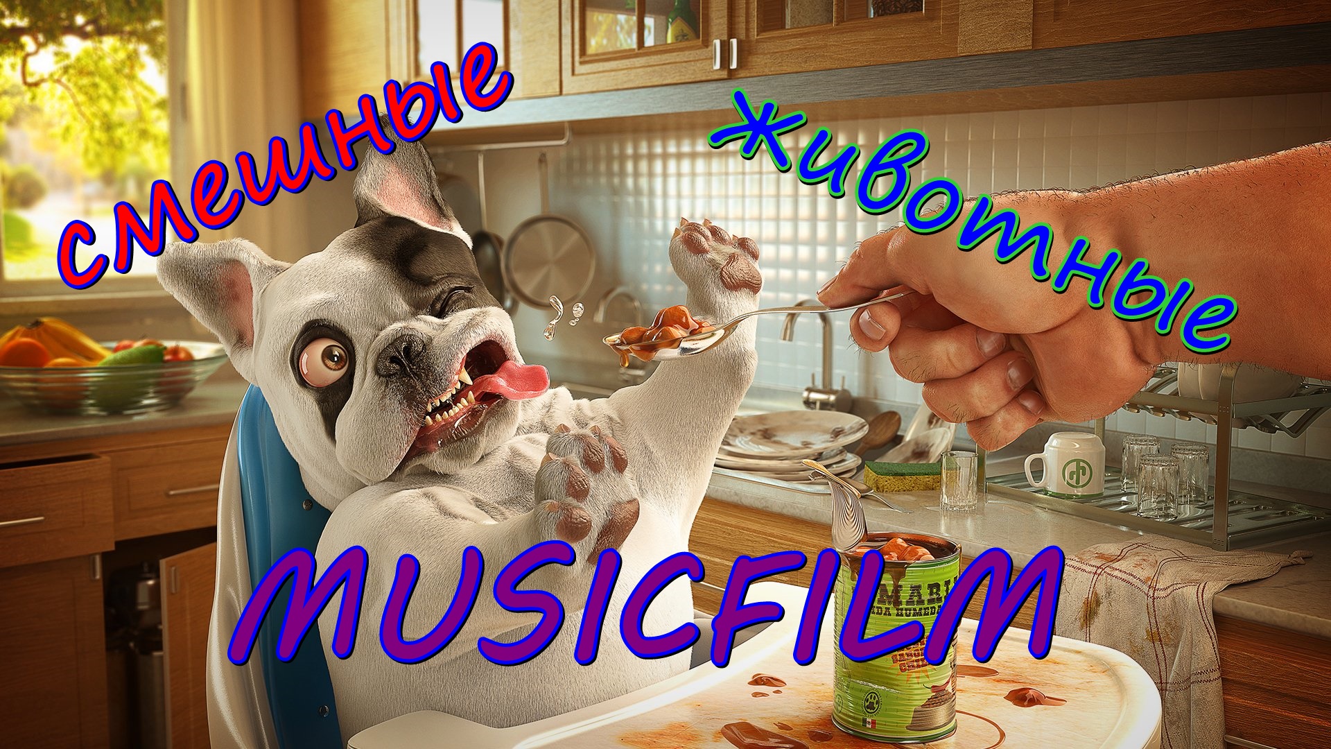 ???Приколы с животными.Милые зверюшки снова смешат.???