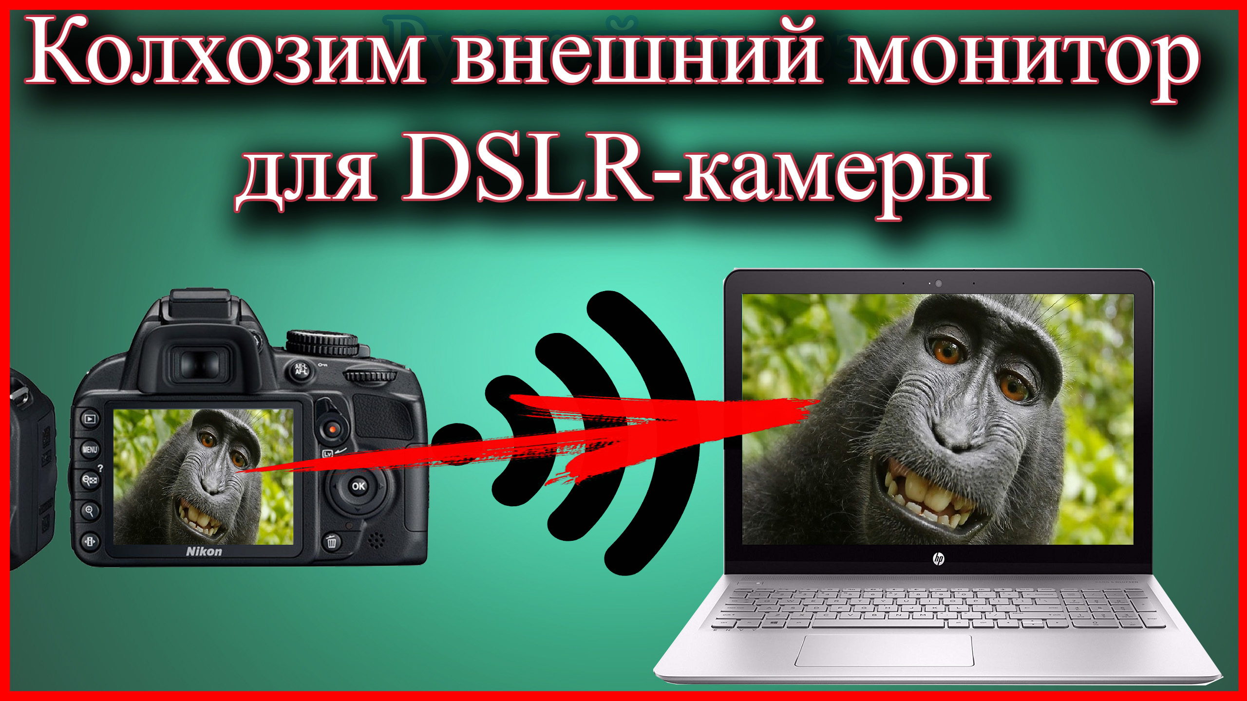 Внешний монитор для цифрового фотоаппарата своими руками / внешний экран для DSLR