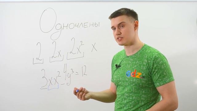 Алгебра 7 класс. Видеоурок по теме Одночлены