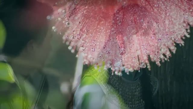 За пределами световых лет 1 сезон 17 серия