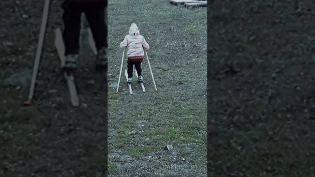 То ли лыжи не едут, то ли.......