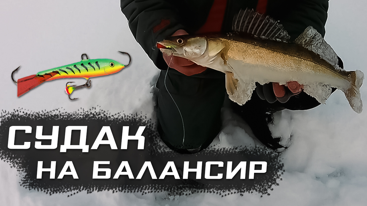 Рыбалка СУДАК НА БАЛАНСИР Пробуем ставить ЖЕРЛИЦЫ на ХИЩНИКА