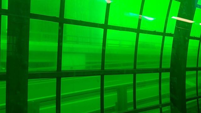 Станция метро "Москва Сити" / Вид на ДЦ "Москва Сити" из поезда метро. 🚇