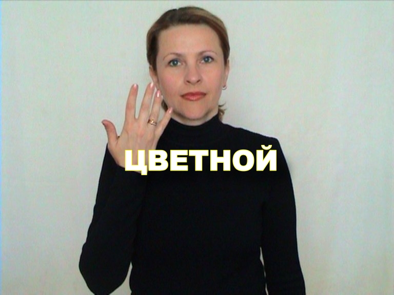 ЖЕСТОВЫЙ ЯЗЫК. СЛОВАРЬ. Цветной