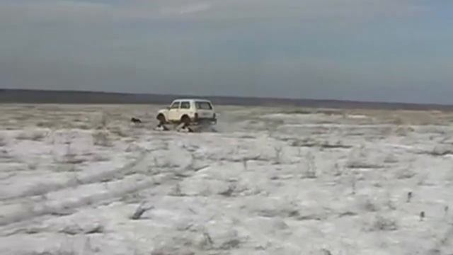 Гусеницы для Нивы / MOTUX