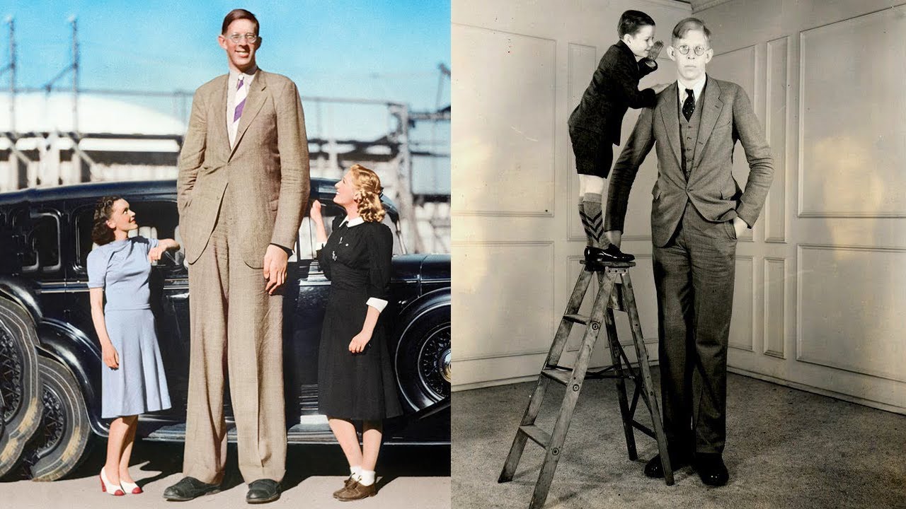 ВЕЛИКАНЫ НАШЕГО ВРЕМЕНИ ЧТО С НИМИ СТАЛО.