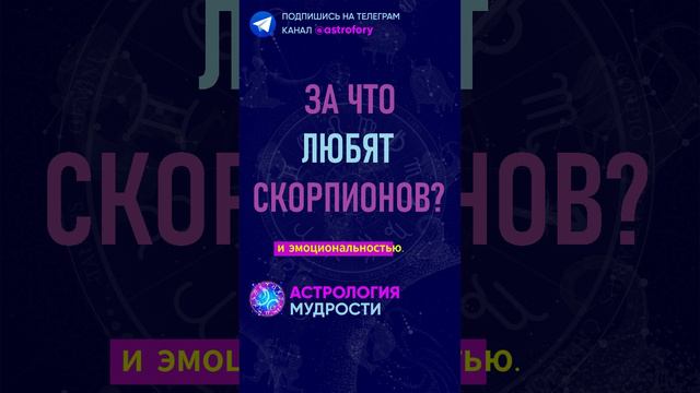 За что любят знак зодиака Скорпион?