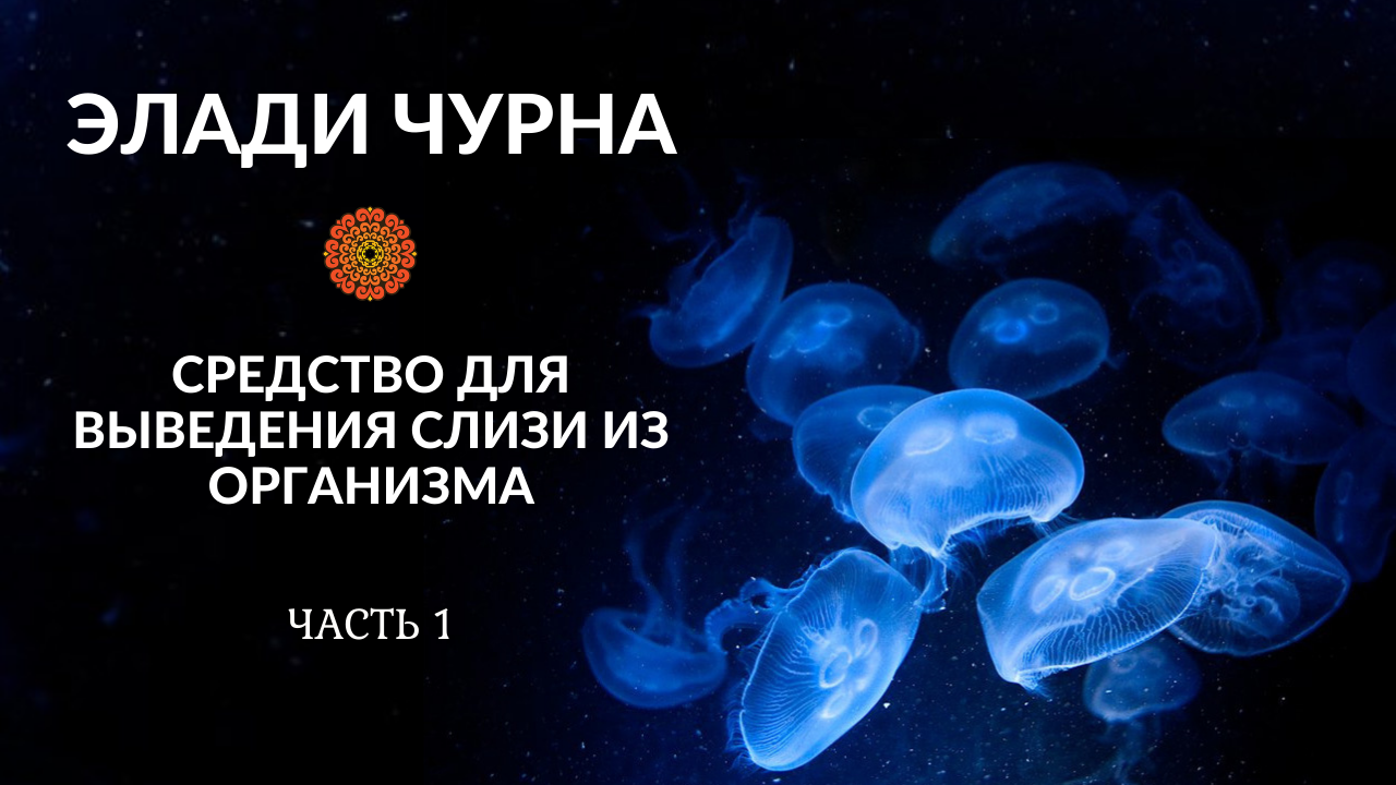 "Элади чурна" - Средство для выведения слизи из организма (Капха-доши). Часть 1.