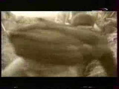 "Военная программа"  Александра Сладкова Часть-2