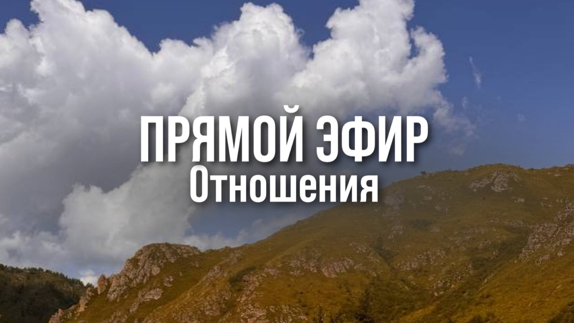 Прямой эфир. Отношение М/Ж