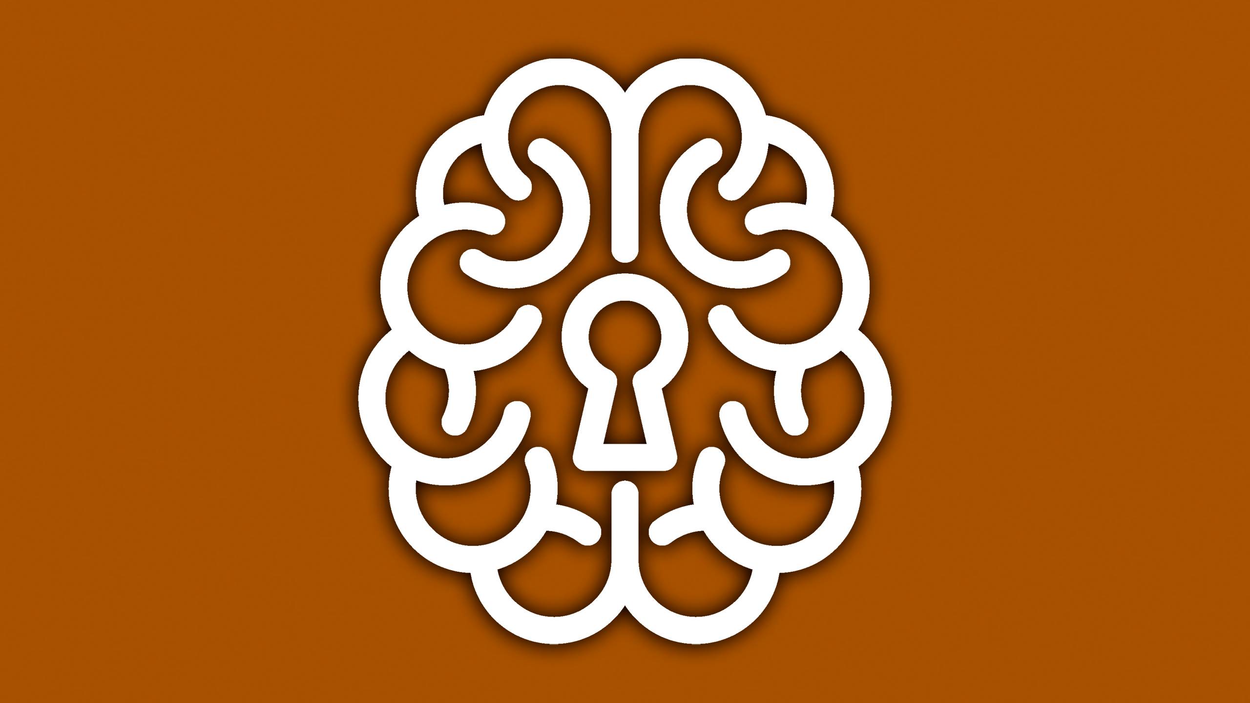 Проводящие пути ЦНС (анатомия)