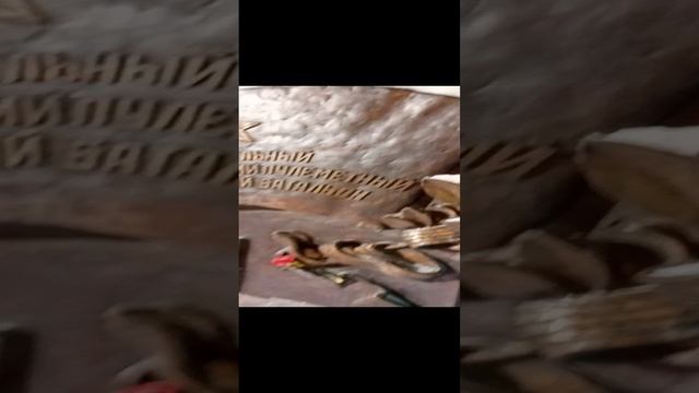 Колпино зима 2021-2022