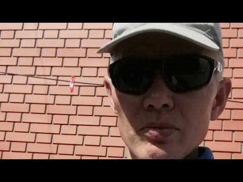 Как кошки могут рожать в 15 лет. Она очень старая и поэтому ей очень трудно.