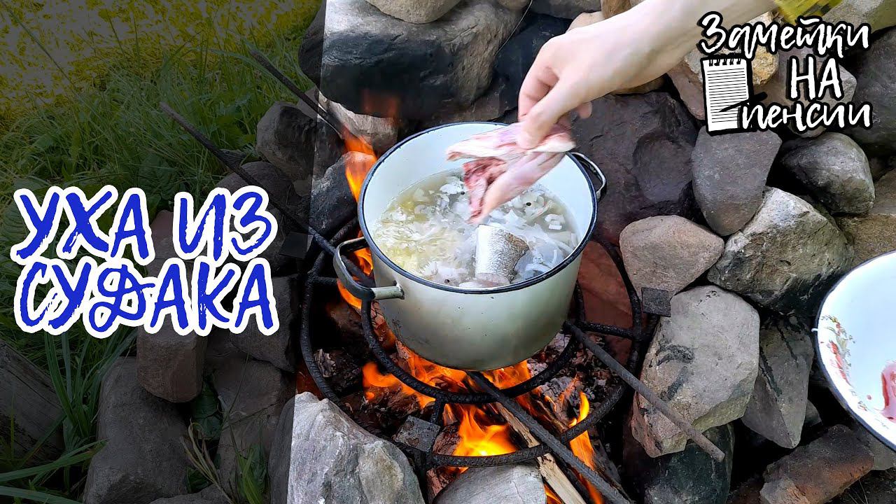Приготовление ухи из судака на костре #деревня #уха