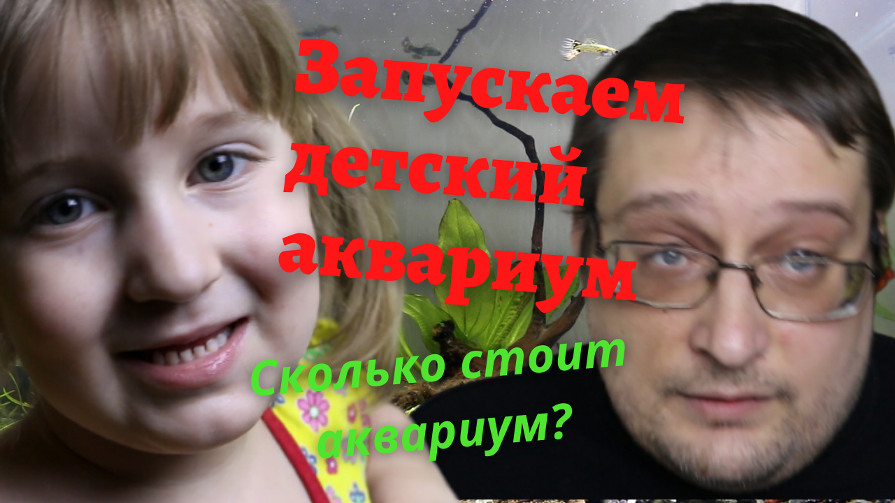 ЗАПУСК ДЕСТКОГО АКВАРИУМА. СКОЛЬКО СТОИТ АКВАРИУМ
