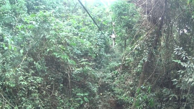 Полет Гиббона. Аттракцион город  Паттайя