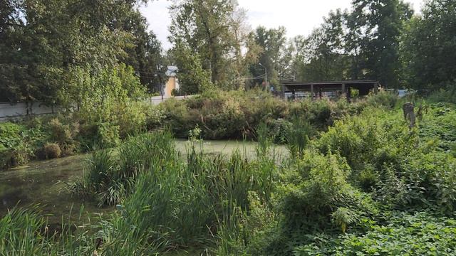 Троицкий раскоп 16