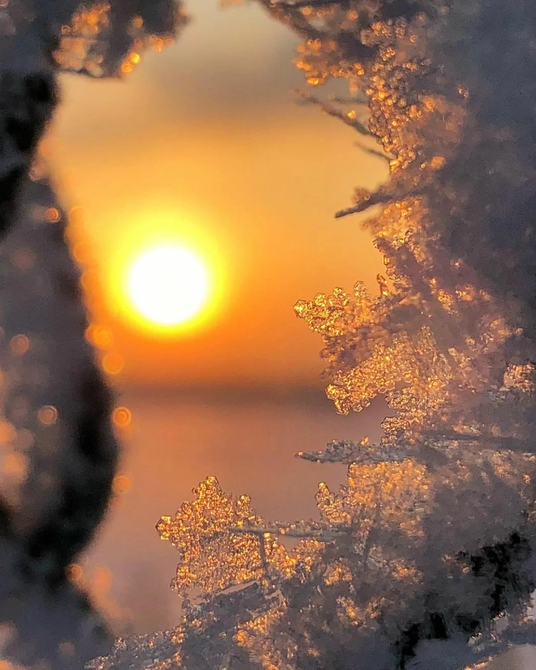 Живинка! Весна, где ты?!