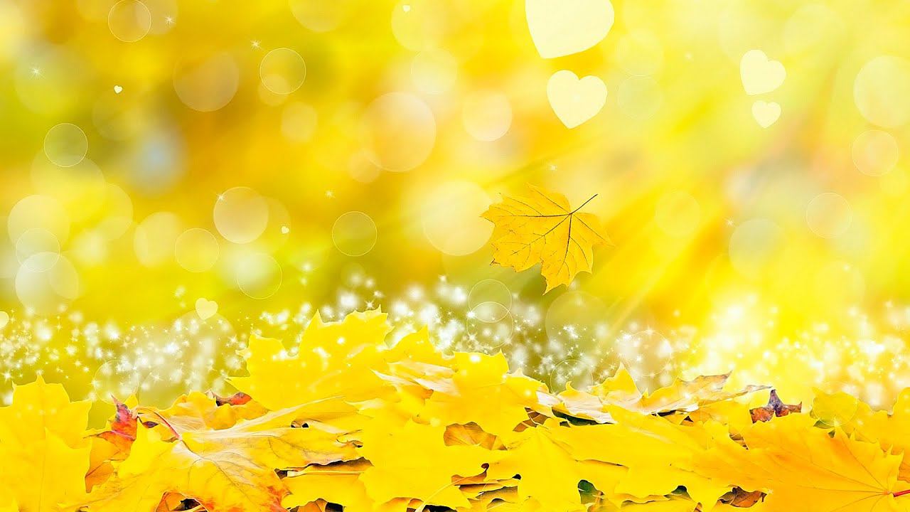 Осенний фон - осенние кленовые листья, блестки, сердечки, боке - футаж для видео монтажа.