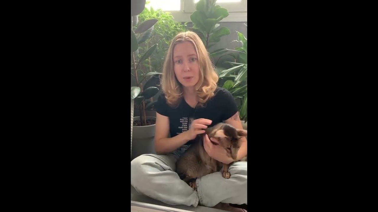 И. Бродский "Кот" (читает Гарова Е.Е.) #ЛИТЕРАТУРНЫЙКОНКУРСНИИОЗММ