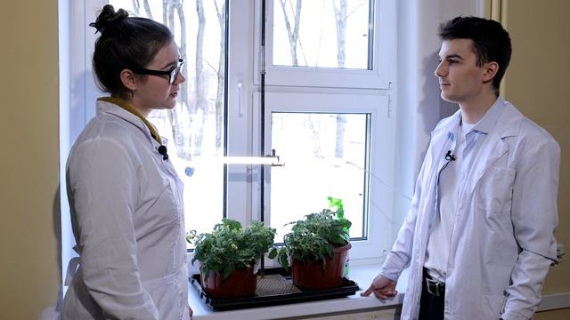 Просто о сложном. Как выбрать фитолампу?