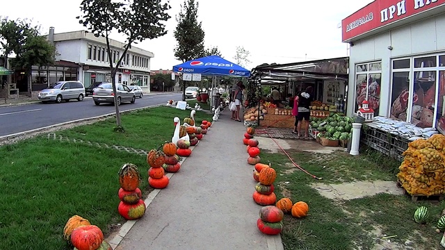 Тиква стрит в с. Приселци, Болгария