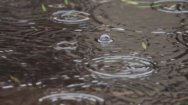Белый шум дождя. Просто наденьте наушники и закройте глаза, сон придет к вам.