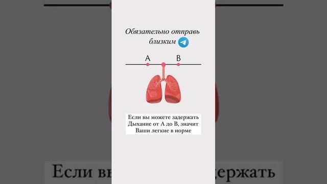 Если Вы можете задержать Дыхание от А до В, значит Ваши лёгкие в Норме ???❤️ Проверьте Здоровье