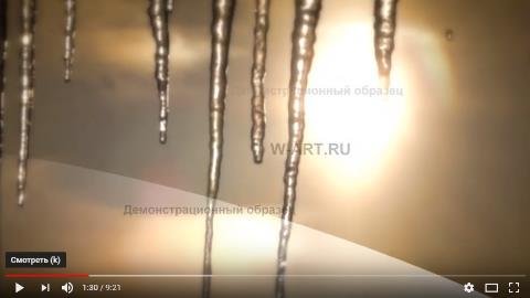 Раиса демо3