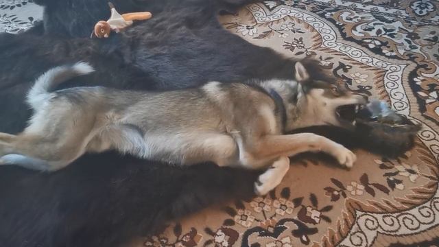 Неравный бой.mp4