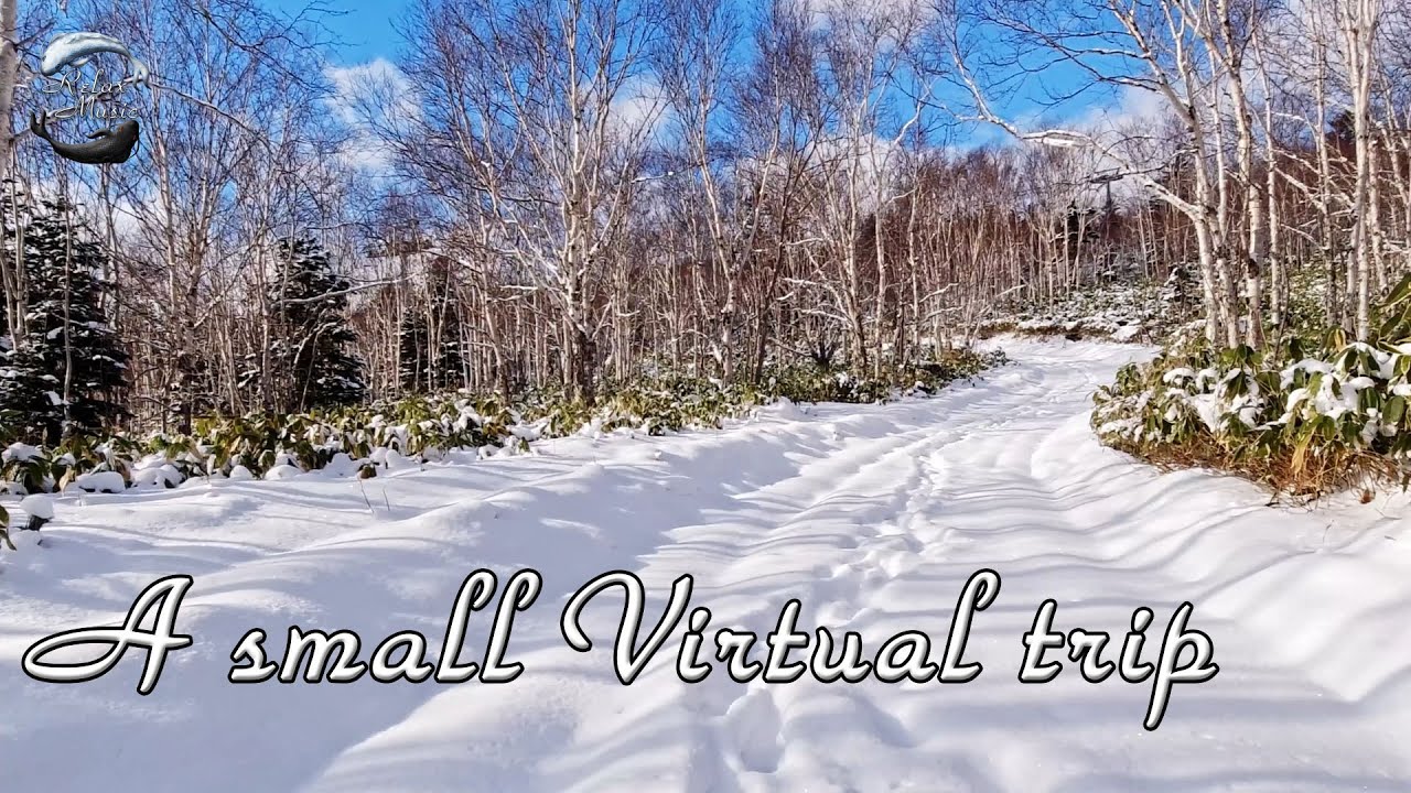 Наполнение позитивной энергией. Прогулка по зимнему лесу и приятная музыка на гитаре.